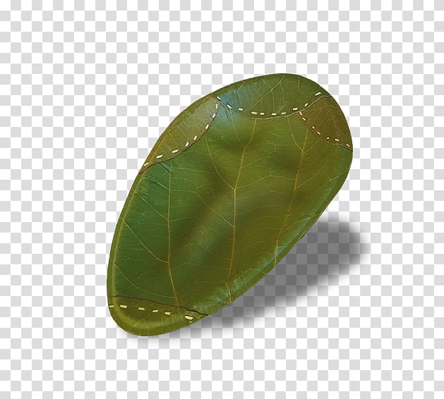 Leaf transparent background PNG clipart | HiClipart