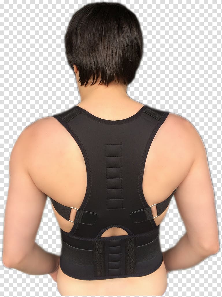 Back brace Poor posture Back belt Lumbar Human back, corset transparent ...