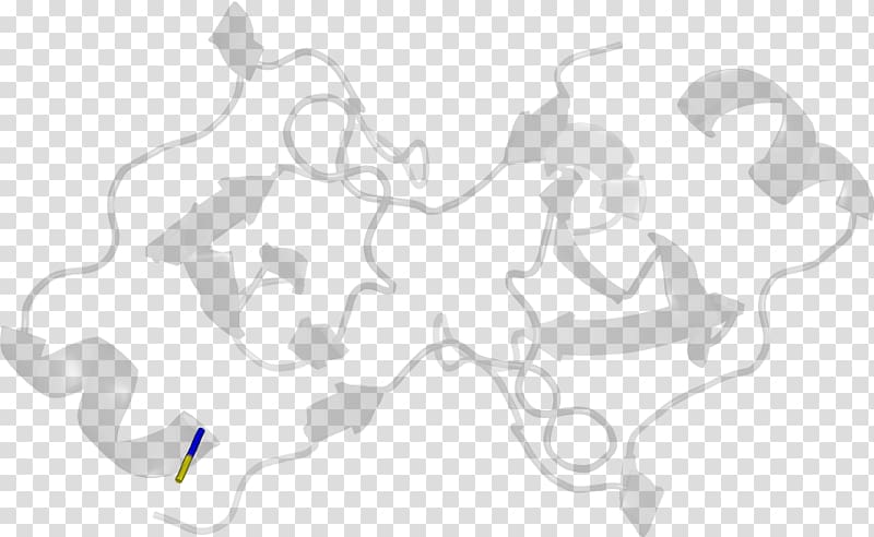 White, design transparent background PNG clipart | HiClipart