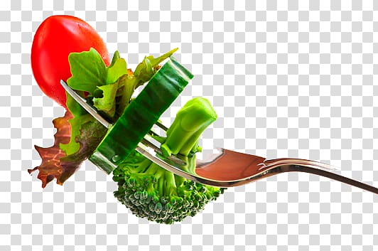 Food transparent background PNG clipart | HiClipart
