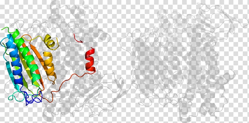Desktop Computer Line , Computer transparent background PNG clipart ...