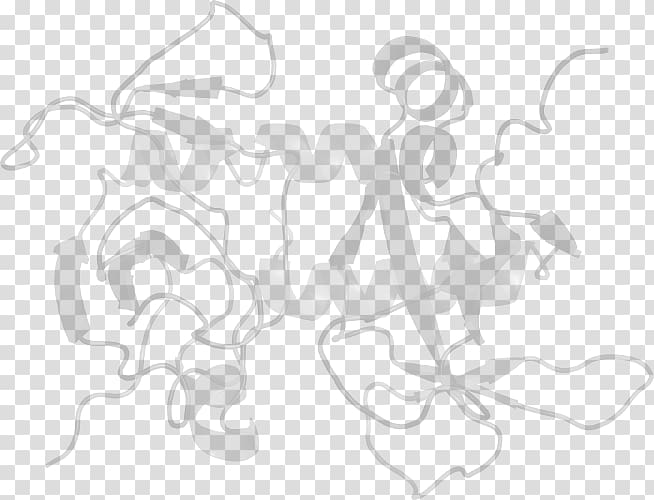 Drawing White Line art , line transparent background PNG clipart ...