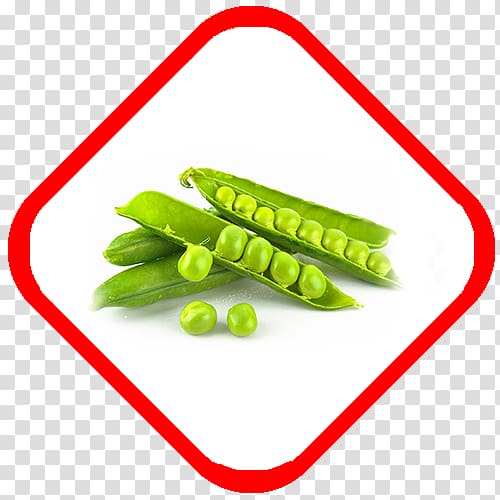 Pease pudding Vegetable Pea protein Food, vegetable transparent ...