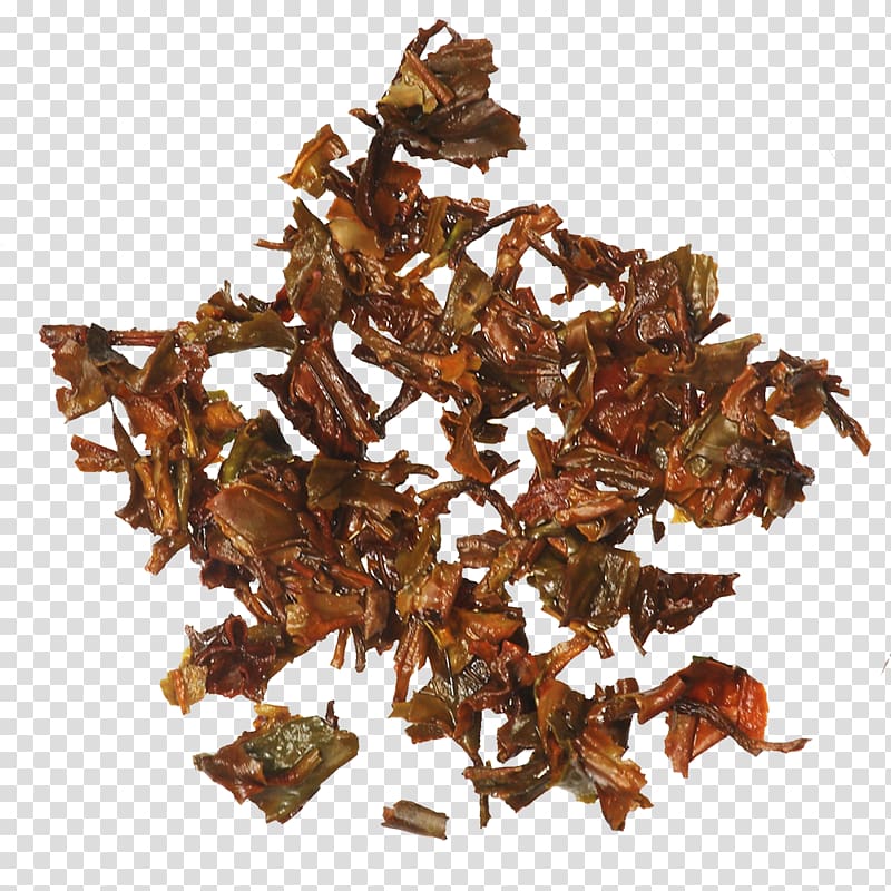 Hōjicha Spiselige alger Vegetable Sea, camellia sinensis transparent ...