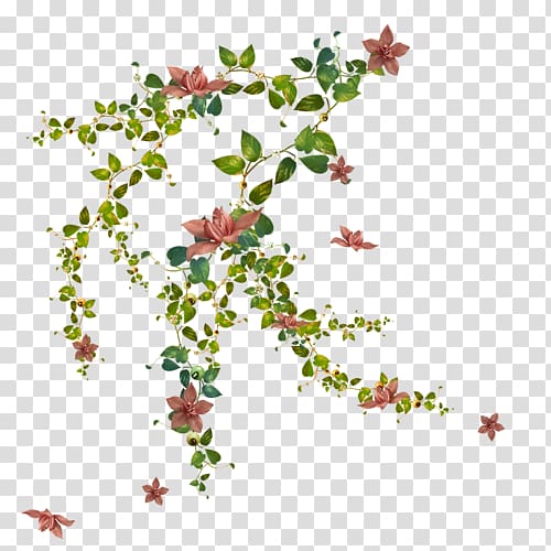 Flower , flower transparent background PNG clipart | HiClipart