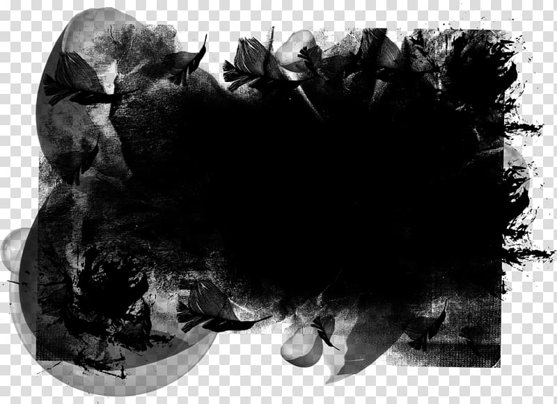 Free download | , others transparent background PNG clipart | HiClipart