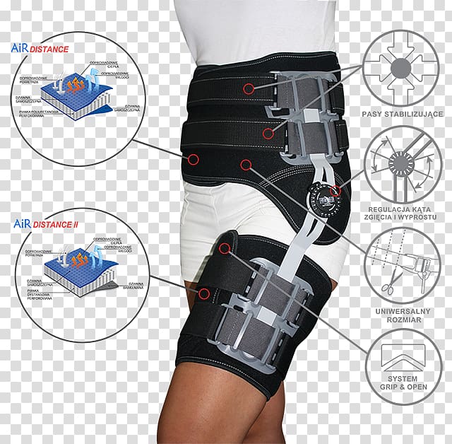 Hip Orthotics Joint Orthopaedics Shoulder, nÃºmero Ã¡ureo transparent ...