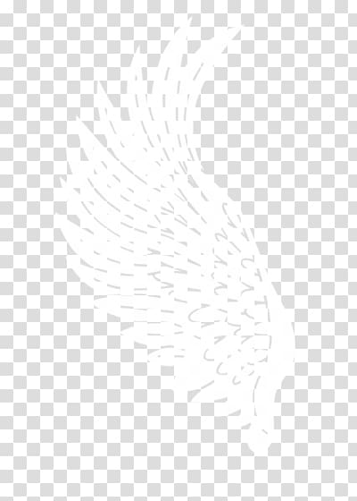 Wing transparent background PNG clipart | HiClipart