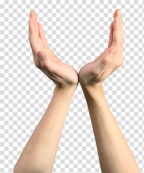 Hand , hand transparent background PNG clipart | HiClipart