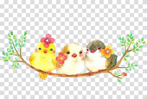 Birds transparent background PNG clipart | HiClipart