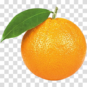 Free download | Juice Lemon Fruit Orange Citrus junos, juice ...