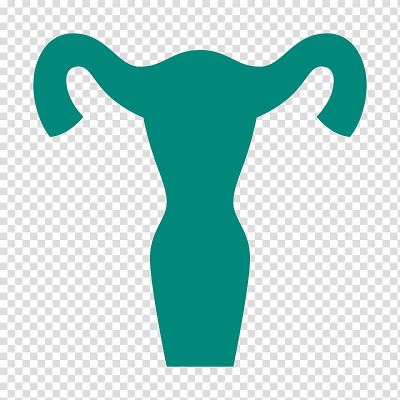 Uterus Fallopian tube Computer Icons Gynaecology Vagina, others ...