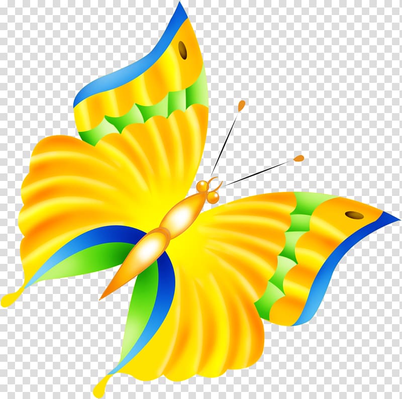 Butterfly , butterfly transparent background PNG clipart | HiClipart