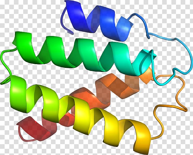 Line , design transparent background PNG clipart | HiClipart