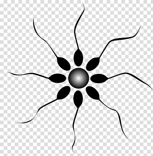 Sperm donation Assisted reproductive technology, others transparent ...