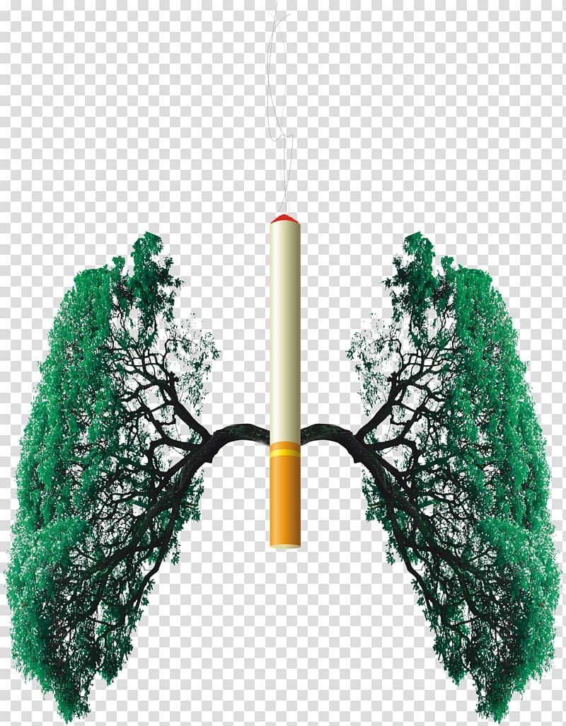 Smoking transparent background PNG clipart | HiClipart