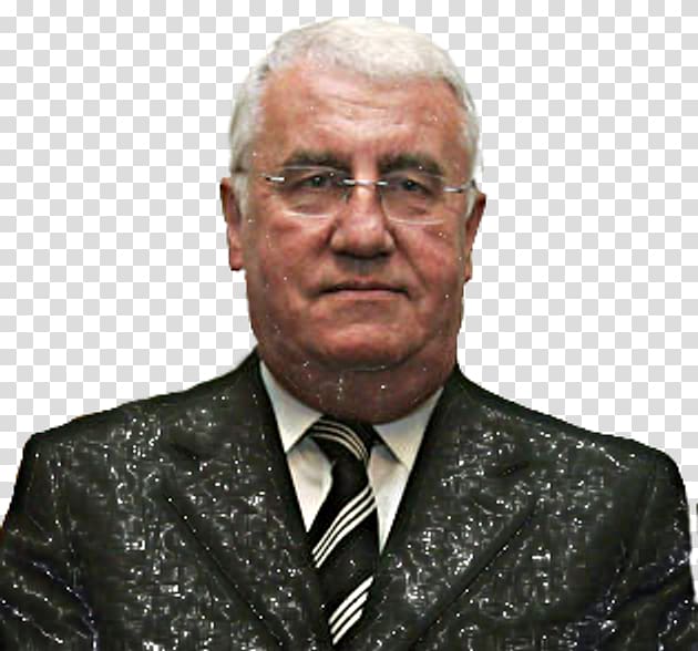 Business magnate Businessperson Diplomat CitizenM, Business transparent ...