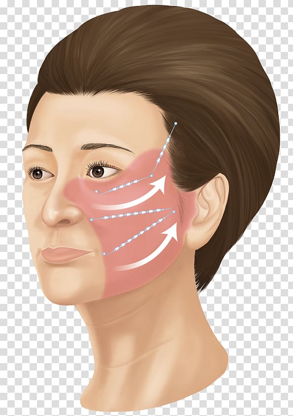 Cheek サフォクリニック Face Forehead 美容外科学, Face transparent background PNG ...