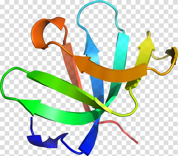 Line , design transparent background PNG clipart | HiClipart