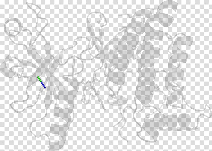 White, design transparent background PNG clipart | HiClipart