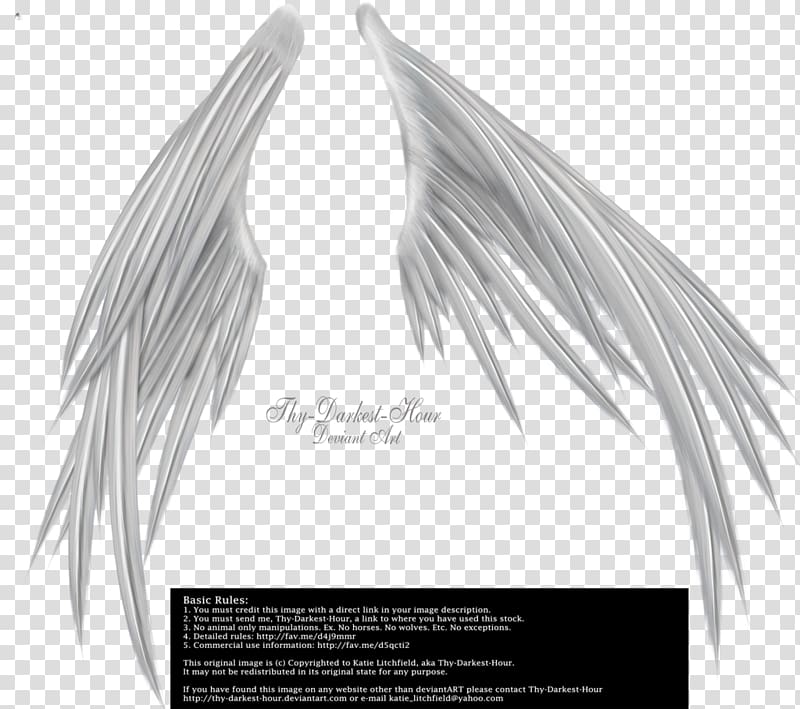Silver transparent background PNG clipart | HiClipart