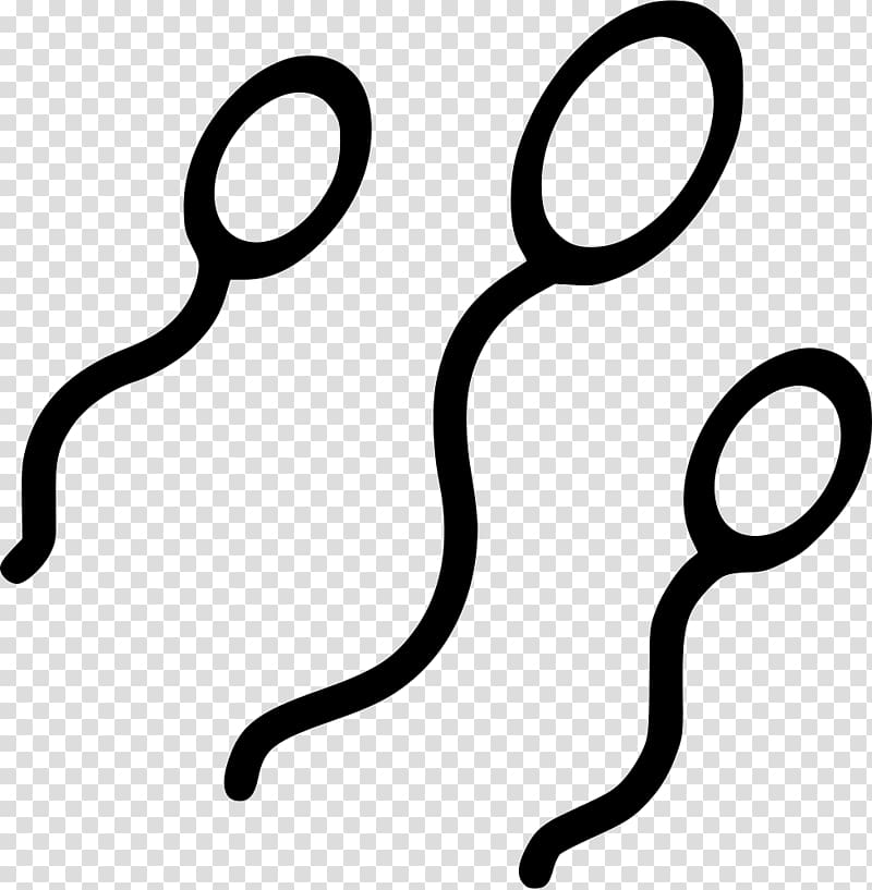 Paraphilic infantilism Sperm Sexual reproduction , pregnancy ...