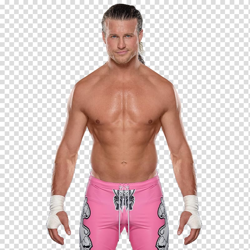Dolph Ziggler WWE Intercontinental Championship WWE SmackDown WWE ...