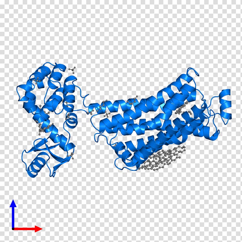 Logo Font, design transparent background PNG clipart | HiClipart