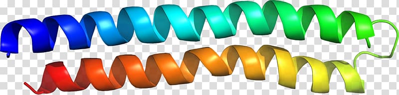 Font, design transparent background PNG clipart | HiClipart