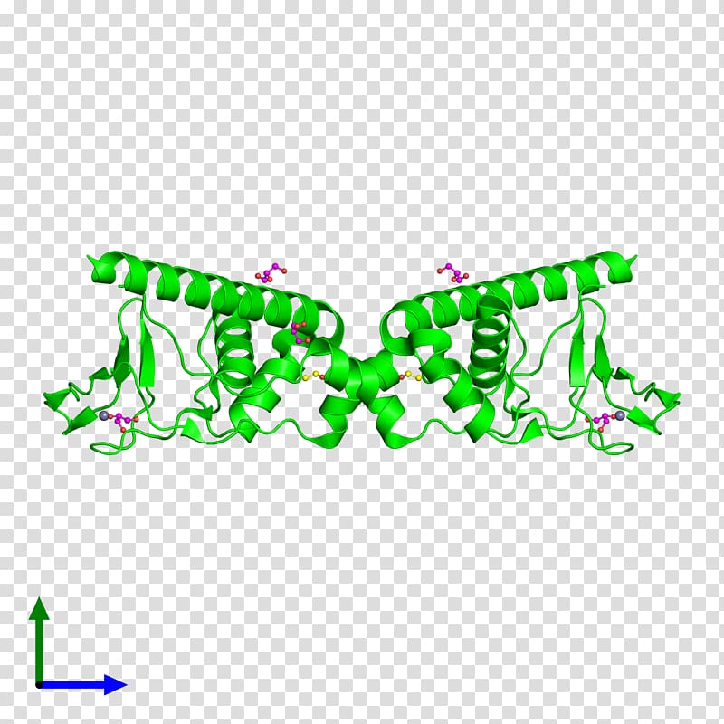 Logo Font, design transparent background PNG clipart | HiClipart