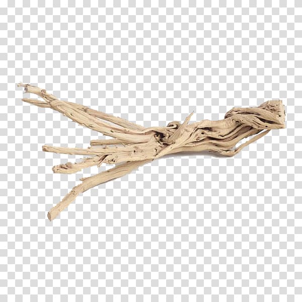 Wood Branch Plant Cost Plus World Market /m/083vt, wood transparent ...