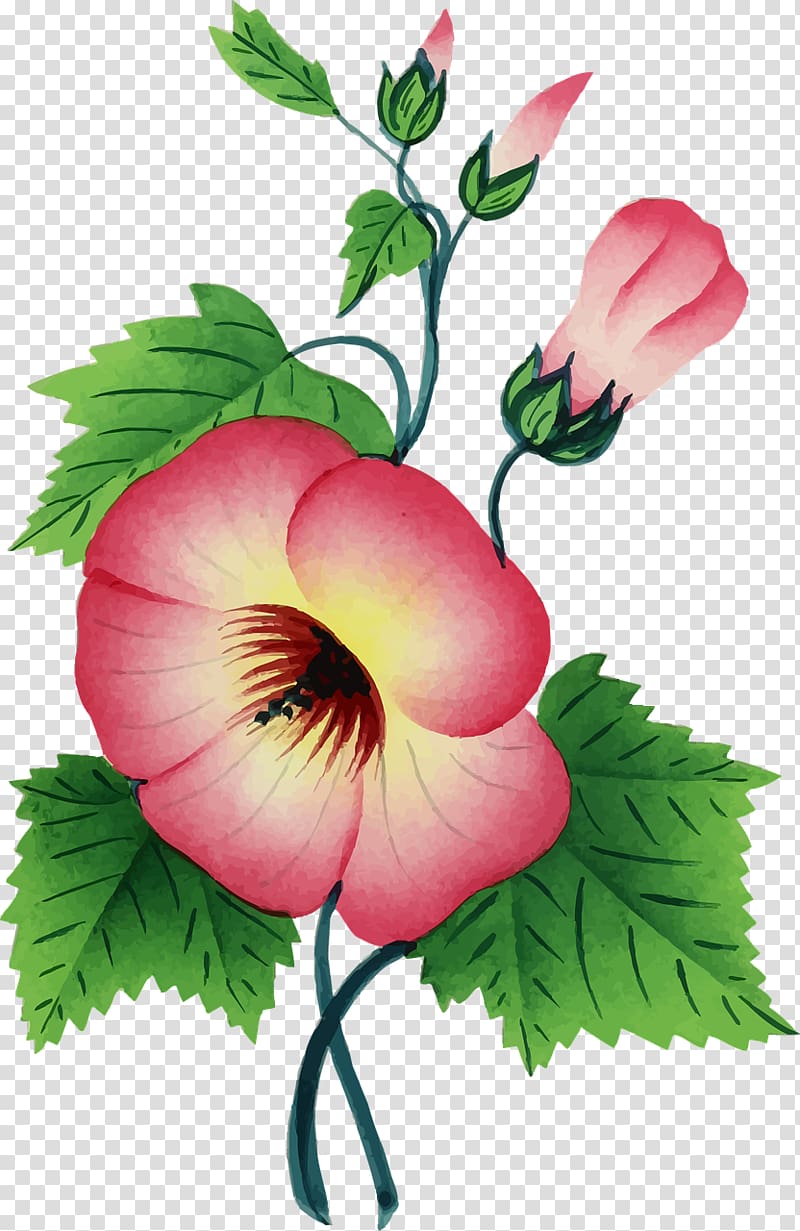 Free download | Flower , flower transparent background PNG clipart ...