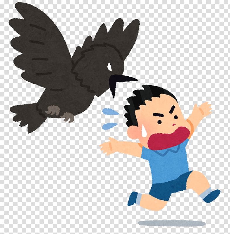Large-billed crow Person 行水 Ural owl, crow transparent background PNG ...