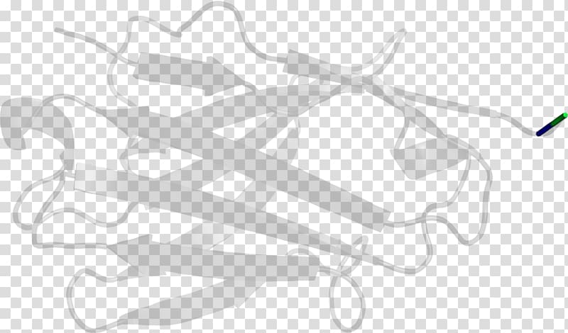 White , design transparent background PNG clipart | HiClipart