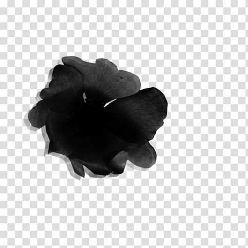 , others transparent background PNG clipart | HiClipart