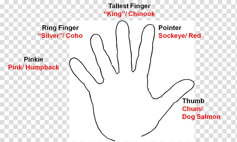 Thumb Finger, design transparent background PNG clipart | HiClipart