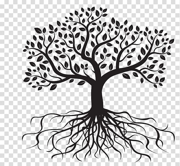 Tree With Roots Drawing Free Download 63 Best Quality Tree With Roots 
