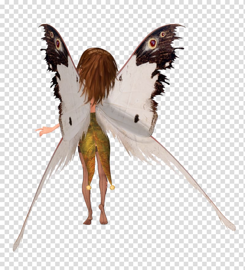 Fairy , Fairy transparent background PNG clipart | HiClipart
