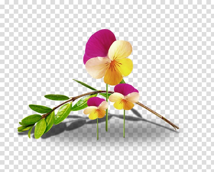 Cut flowers Animation Floral design, flower transparent background PNG ...