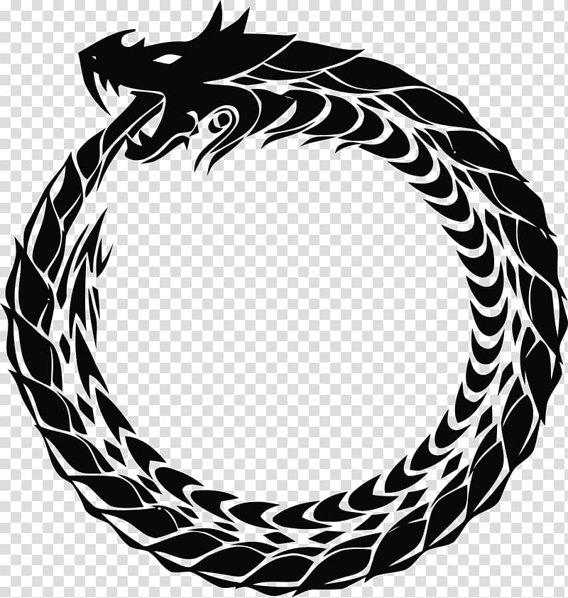 Dragon transparent background PNG clipart | HiClipart