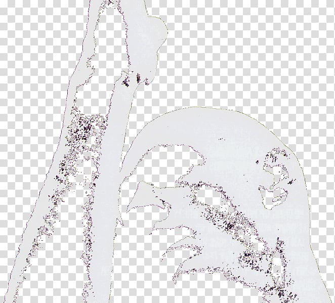 Neck, design transparent background PNG clipart | HiClipart