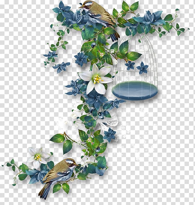 Bird , Bird transparent background PNG clipart | HiClipart