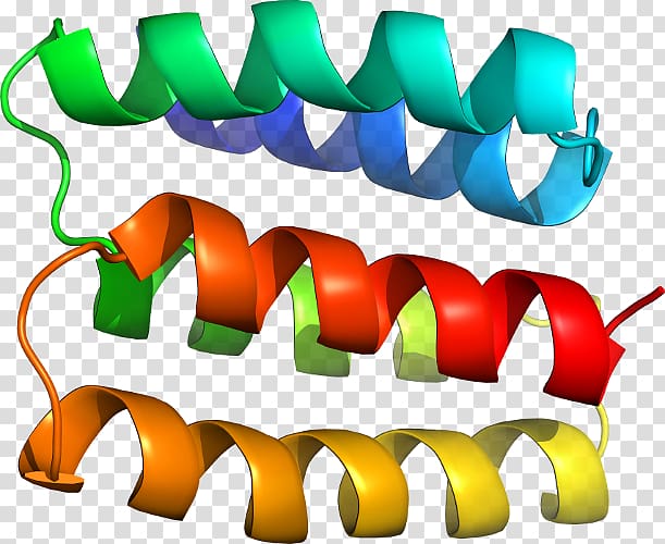 Line , design transparent background PNG clipart | HiClipart