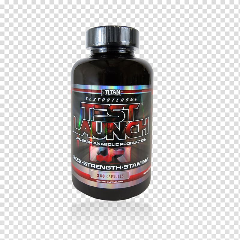 Dietary supplement Testosterone Nutrition Cholesterol Steroid hormone ...