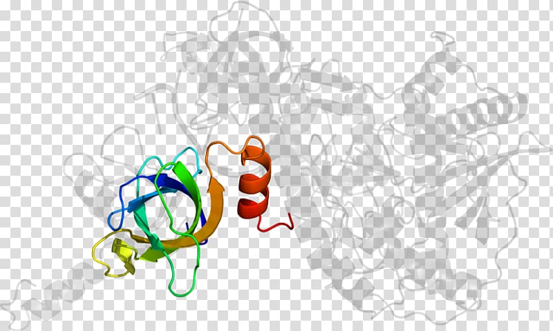 Organism , design transparent background PNG clipart | HiClipart