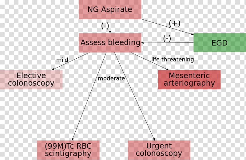Lower gastrointestinal bleeding Hematochezia Gastrointestinal tract ...