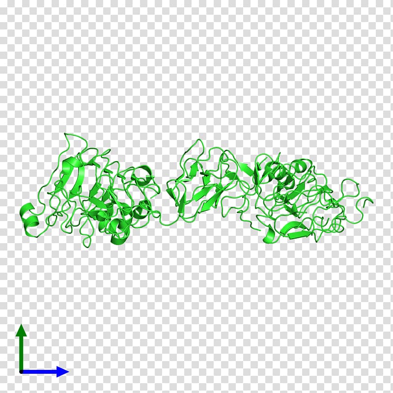 Logo Font, design transparent background PNG clipart | HiClipart